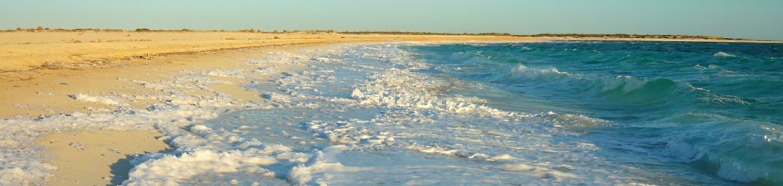 Reducing runoff and silt loads impacting the Shark Bay WHA - Rangelands NRM